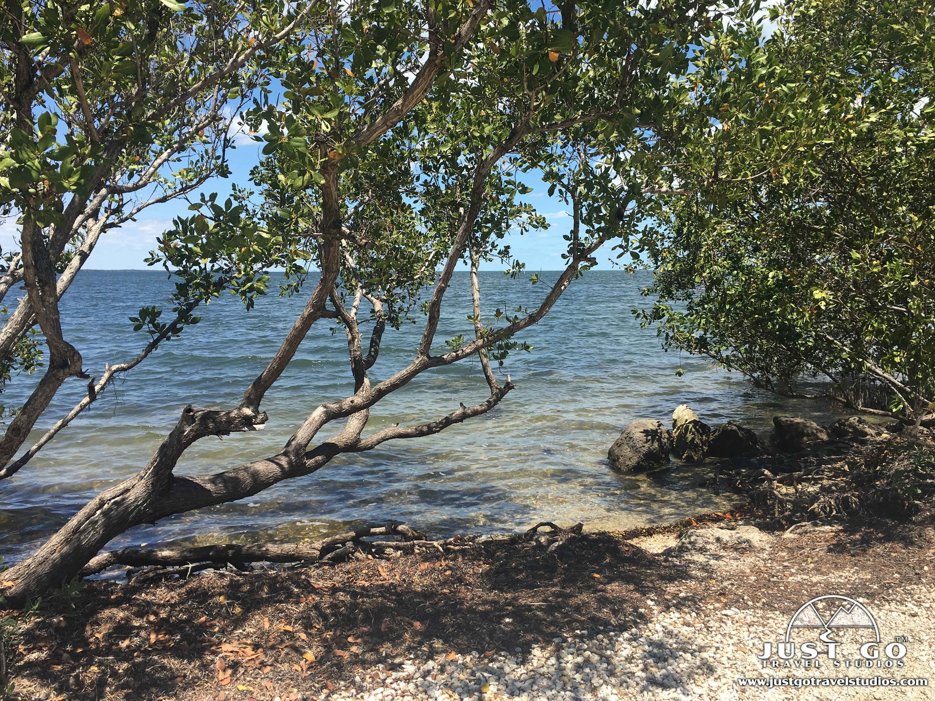 Biscayne National Park: Things to Do, Hiking Trails, Tours, Maps, Fees ...