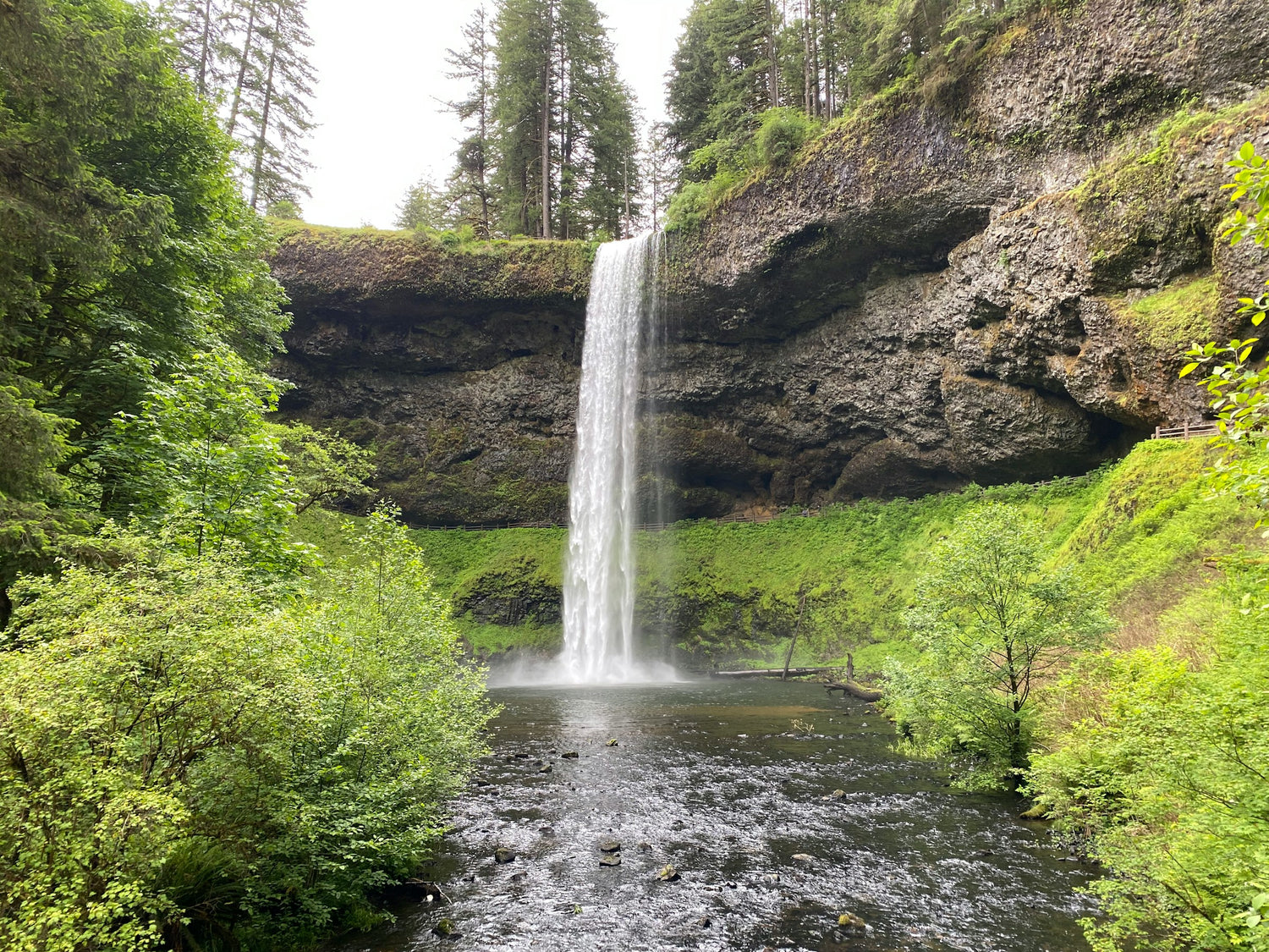 Camping in Silver Falls State Park: Campground Maps, Site Photos & Mor ...