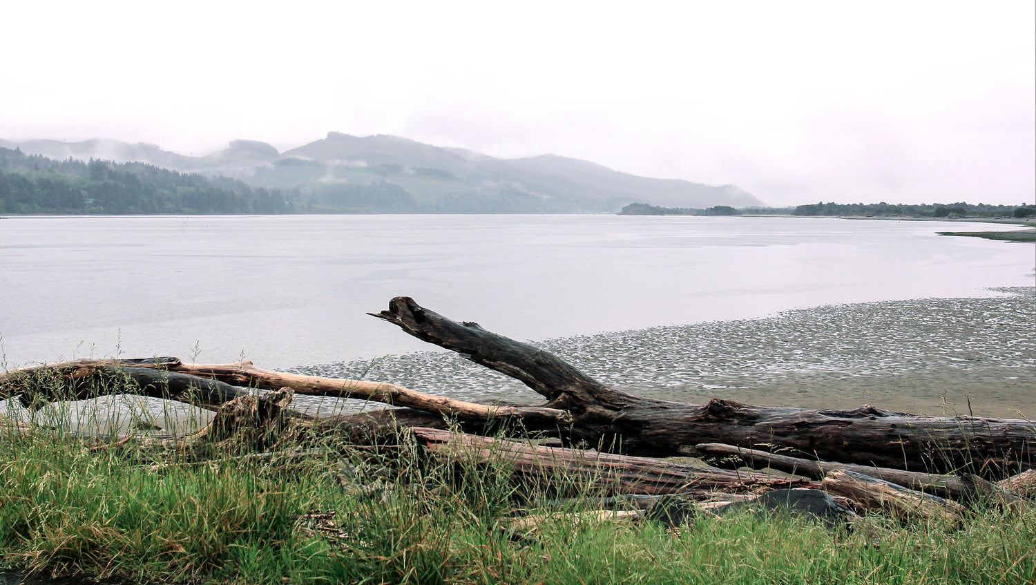 Camping in Nehalem Bay State Park: Campground Maps, Site Photos & More ...