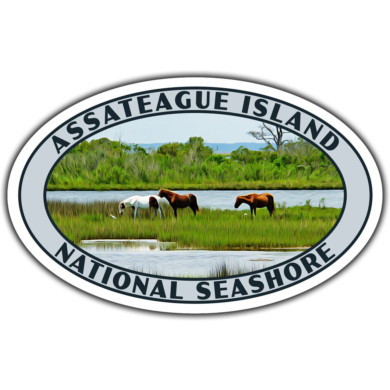 Assateague Island National Seashore Sticker (Horses) – Just Go Travel Studios